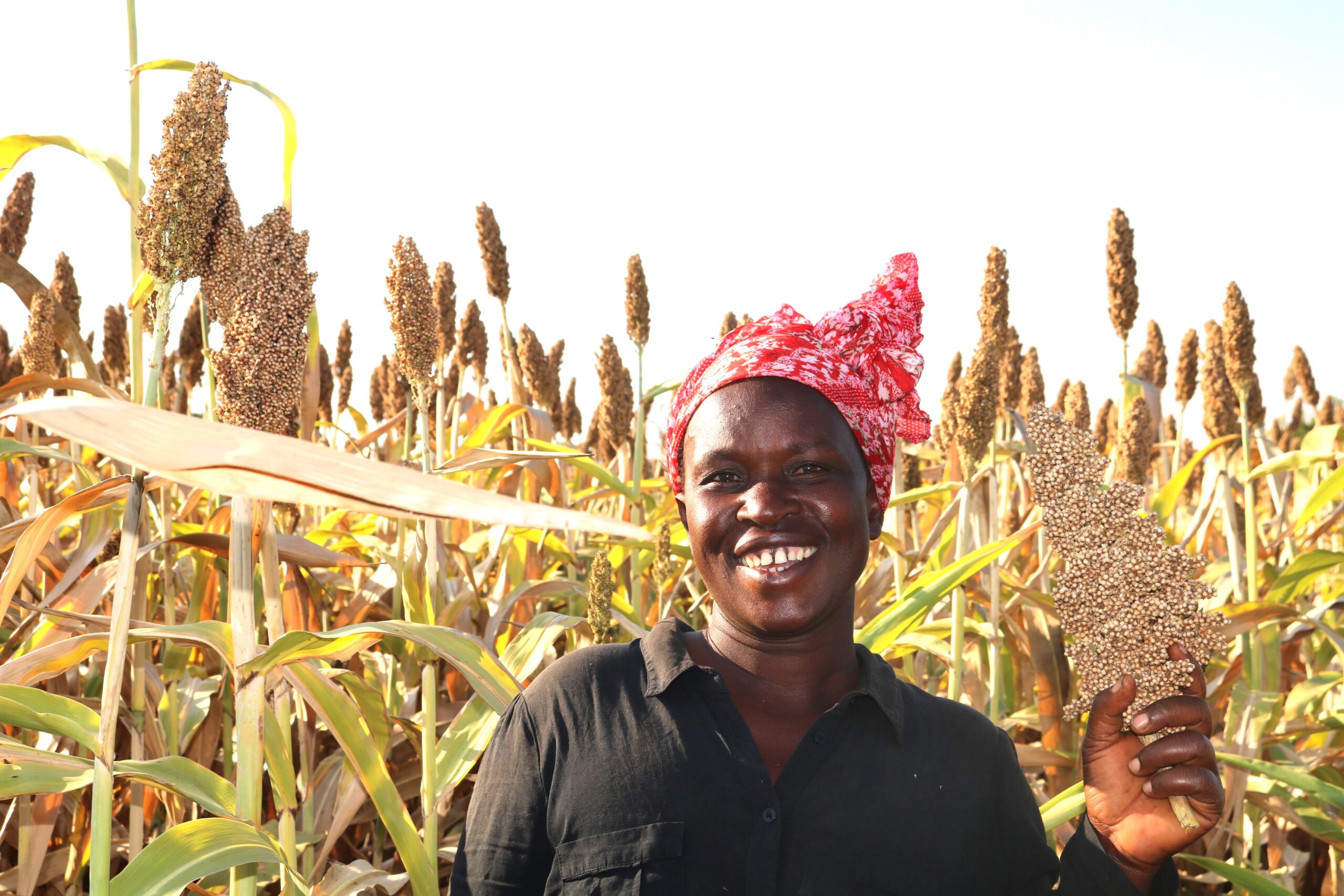 Who we are - CARE ZIMBABWE