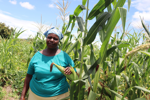 Climate Smart Success: Fungai’s story - CARE ZIMBABWE